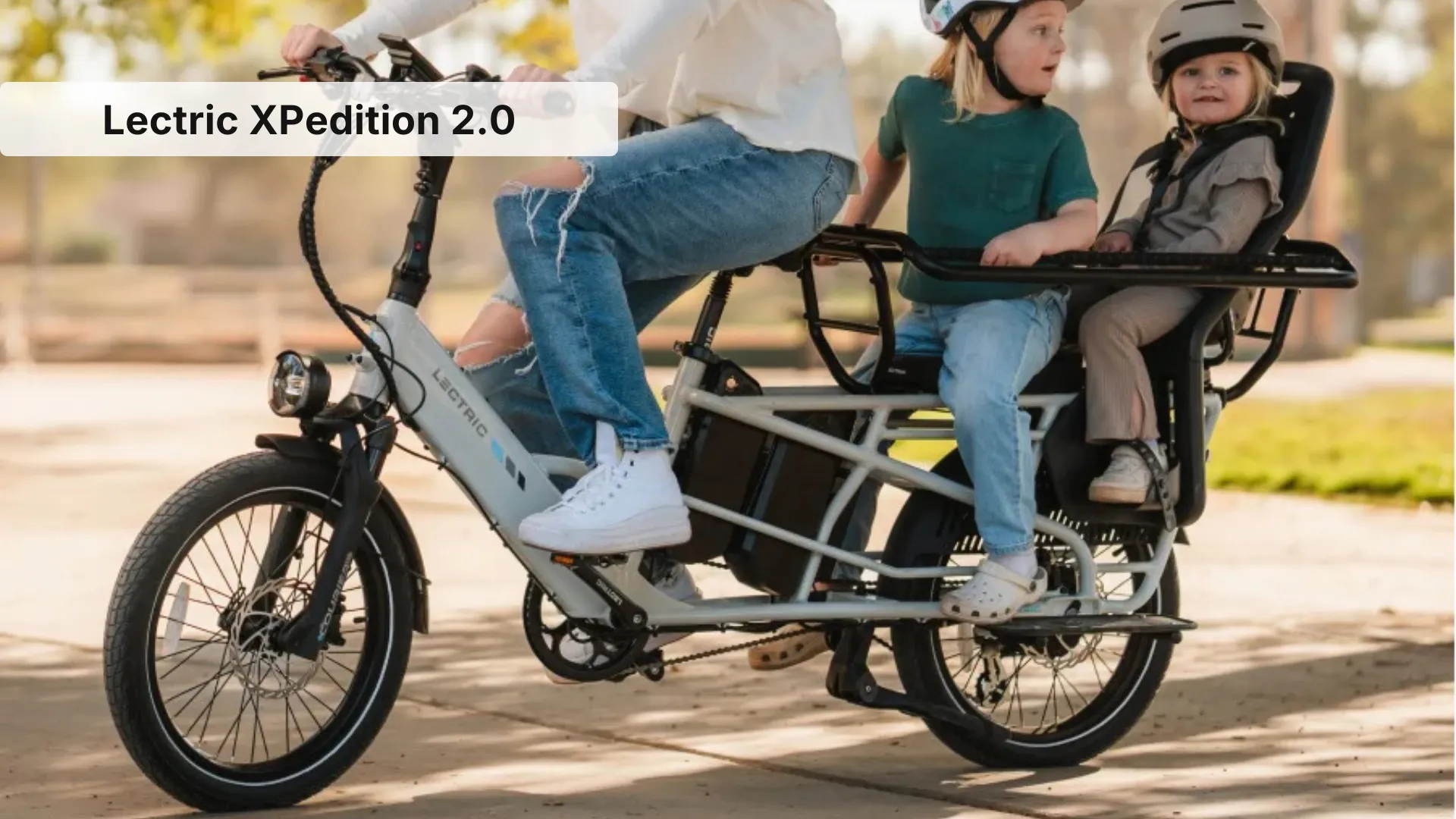 Lectric XPedition 2.0 Review 2026: Best Budget Cargo E-Bike ...